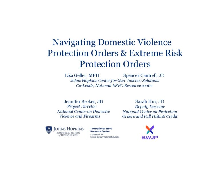 Webinar Recording: Navigating Domestic Violence Protection Orders ...